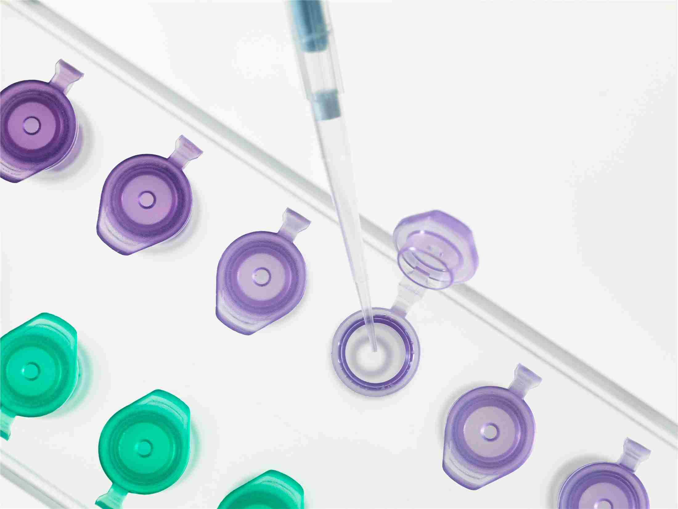 BOC Sciences Reports Strong Capabilities of CDMO Operations | CPHI Online